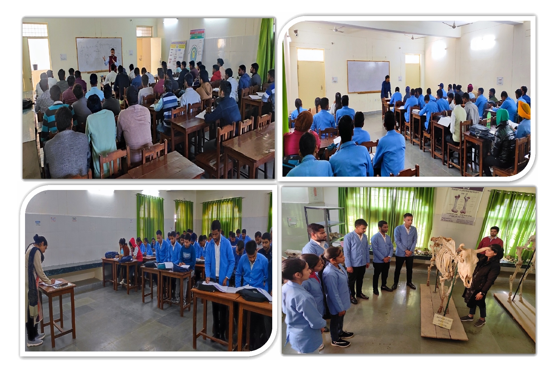 Institute Of Para Veterinary Science -2 – duvasu mathura