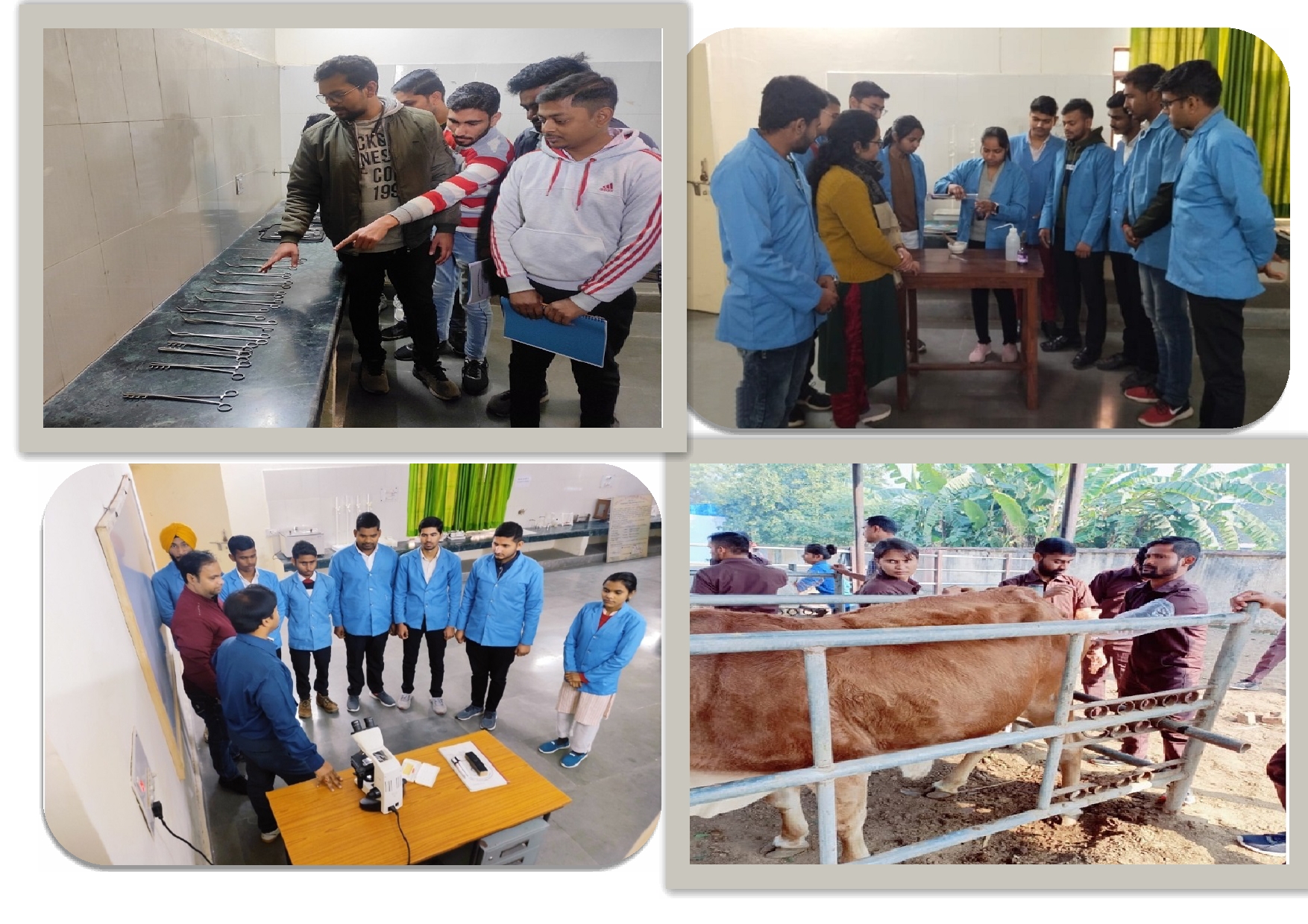 Institute Of Para Veterinary Science -2 – duvasu mathura